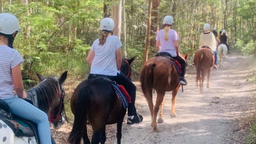 Camps | Tunnel Ridge Ranch Sunshine Coast