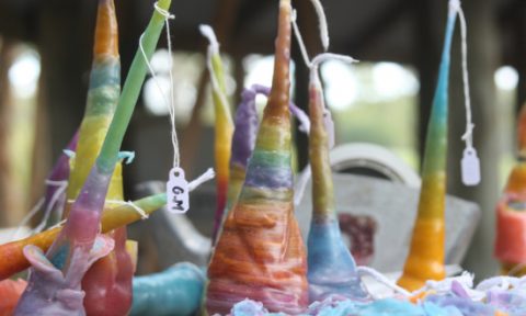 Camps | Tunnel Ridge Ranch Sunshine Coast