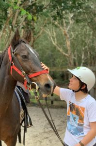Horse Riding | Tunnel Ridge Ranch Sunshine Coast