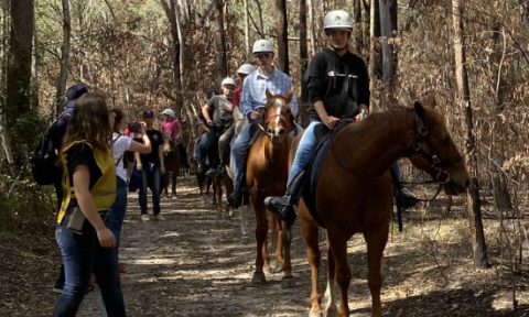 Horse Riding | Tunnel Ridge Ranch Sunshine Coast