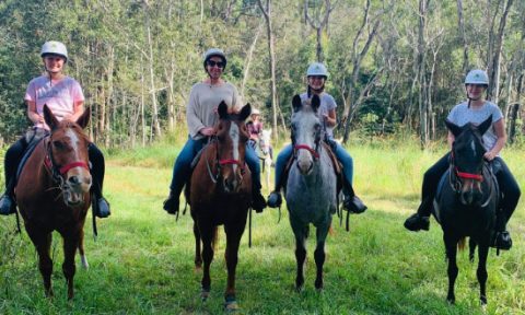 Horse Riding | Tunnel Ridge Ranch Sunshine Coast